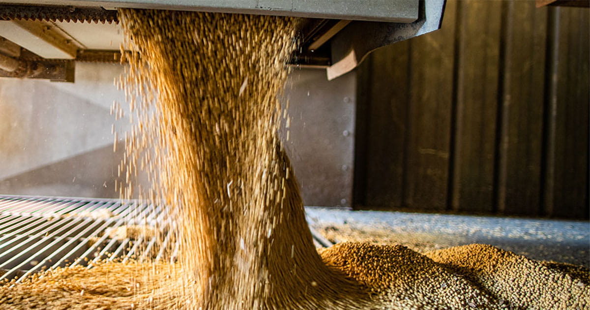 Soybean processing | CHS Inc.