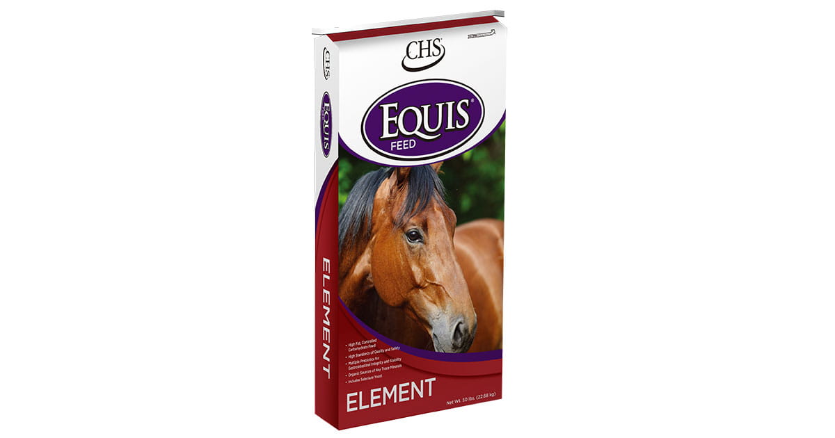 elemental horses pack