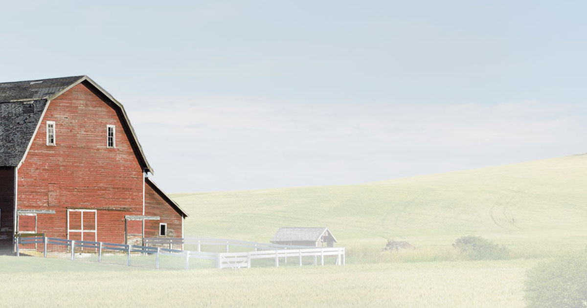 Multi-species feed for diverse livestock | Payback Nutrition