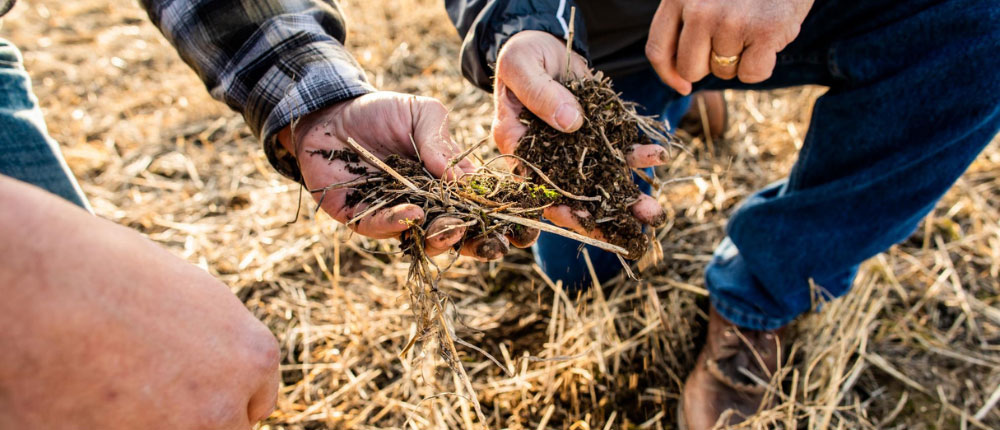 The Science Of Soil Sampling Agronomy