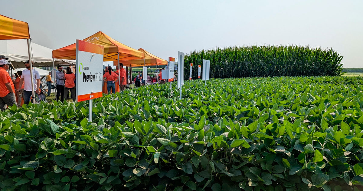 Rising to the challenge | Agronomy